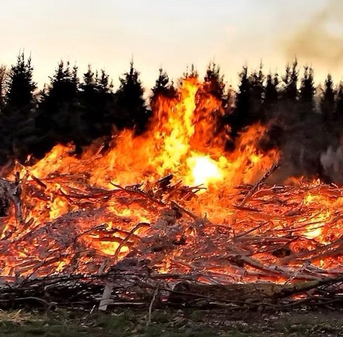 Brenning av avfall er forbudt hele året - Forside